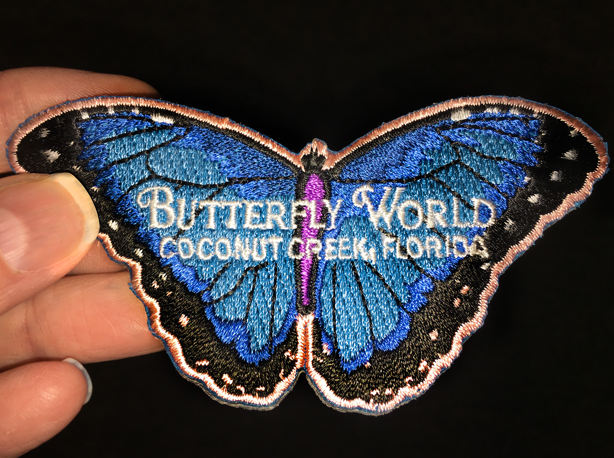 Butterfly World Blue Morpho Patch – Butterfly World