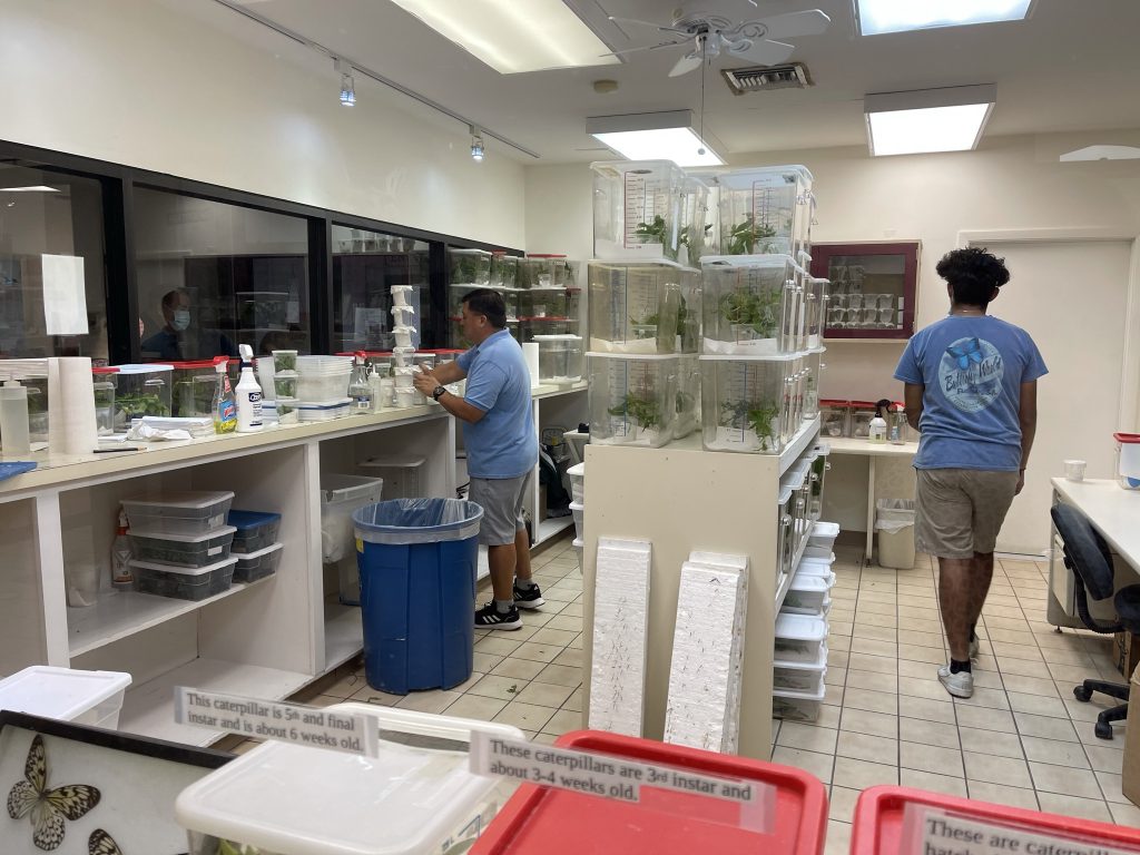 Career opportunities – Butterfly World