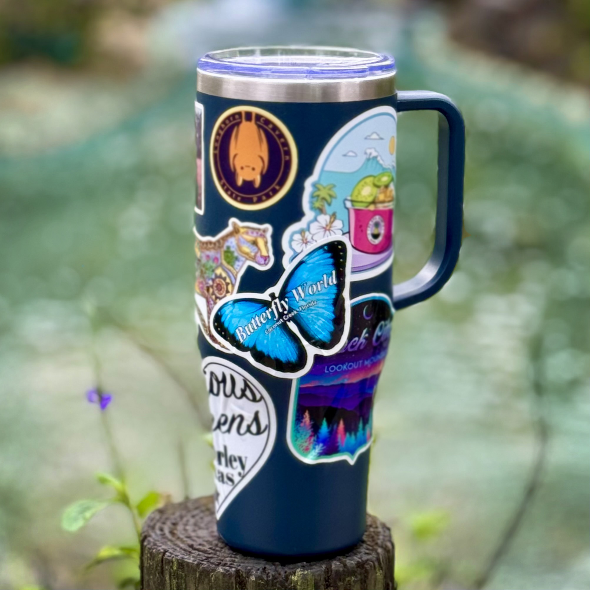 Butterfly World Blue Morpho Sticker – Butterfly World